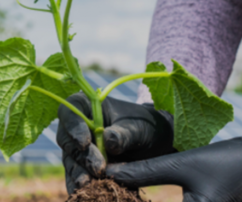 [ENERGIE] Cycle des journées techniques Soltena : Autoconsommation collective | Cluster Odéys